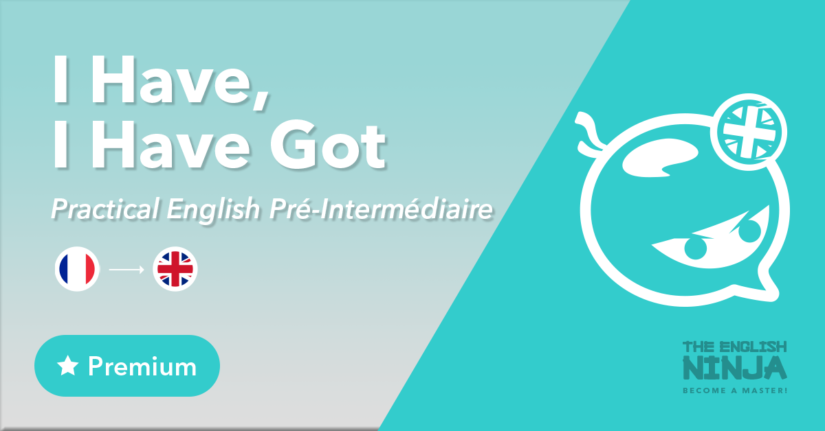 I Have, I Have Got - Leçon d'Anglais Premium - The English Ninja